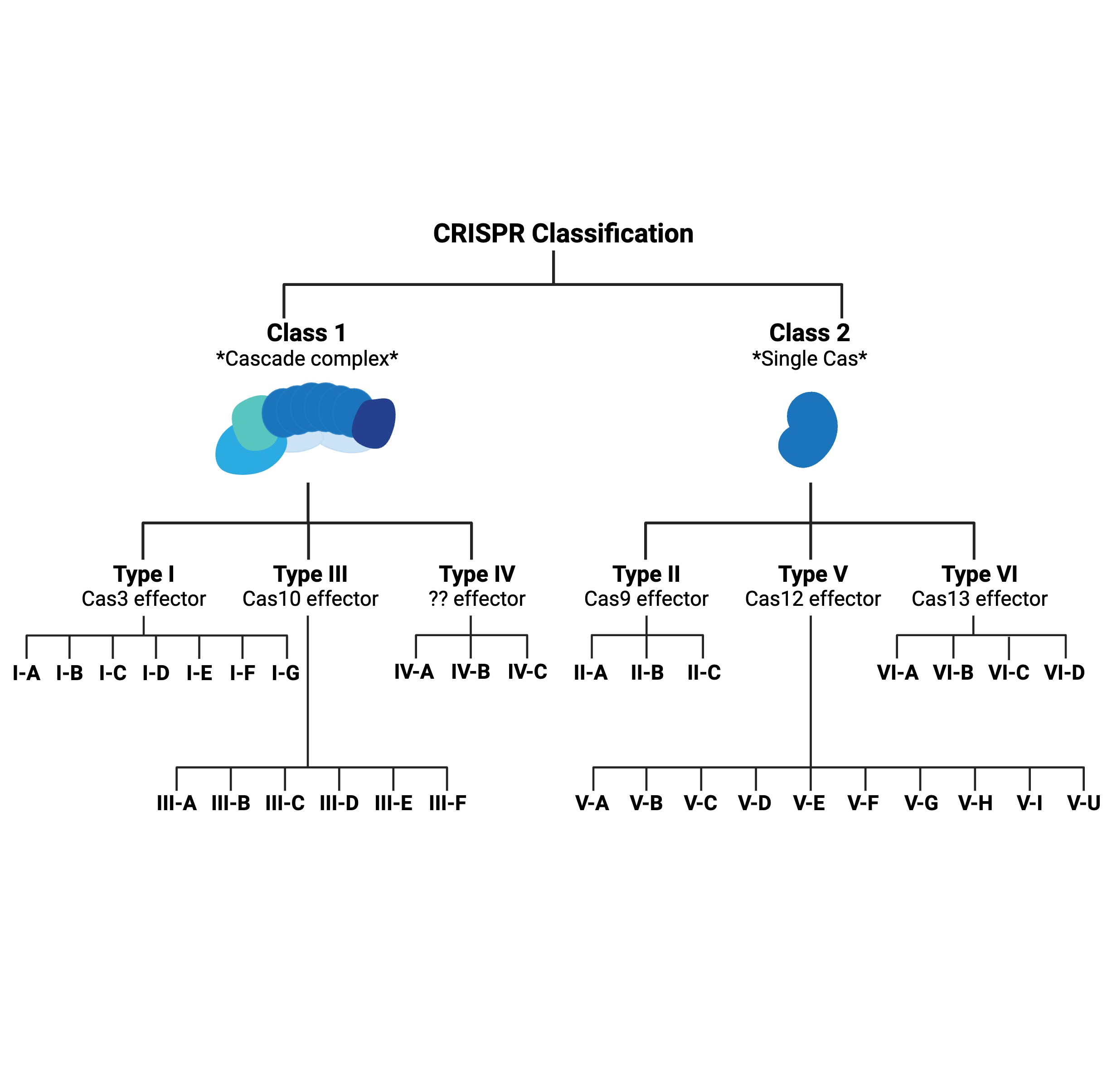 Typing CRISPR Systems